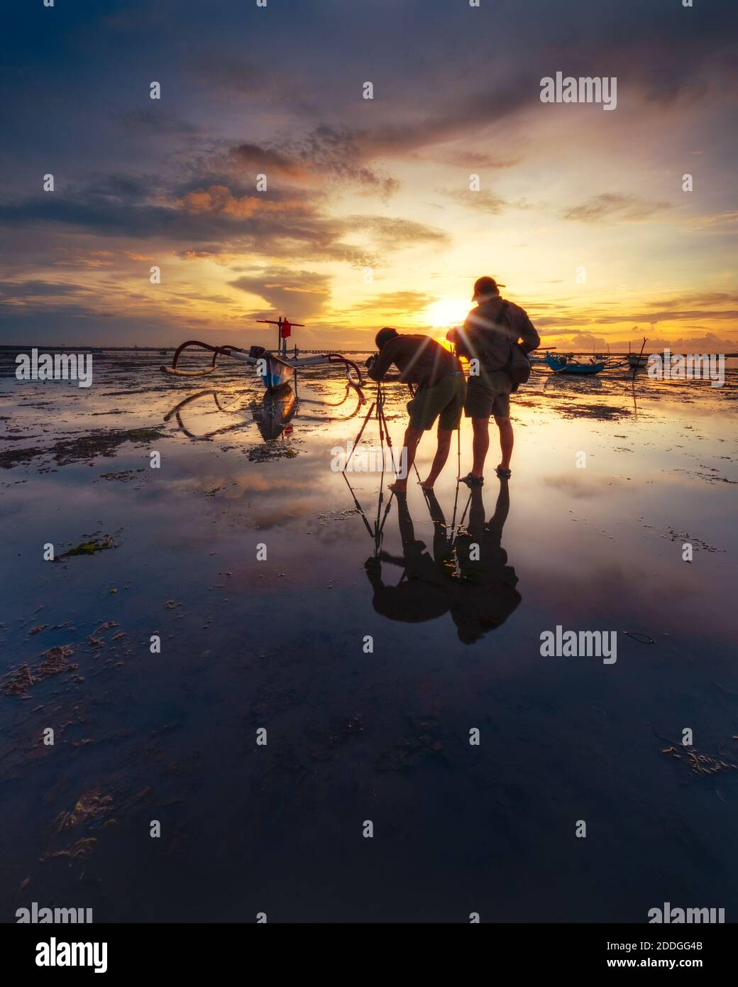 A vertical shot of photographers taking photos at the beach Stock Photo ...
