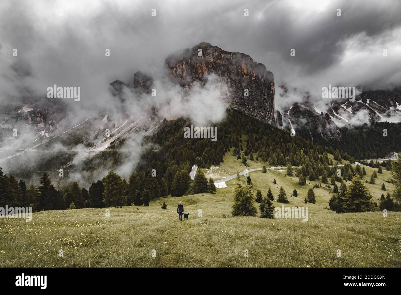 A beautiful shot of a meadow with rocks covered by clouds - perfect for ...