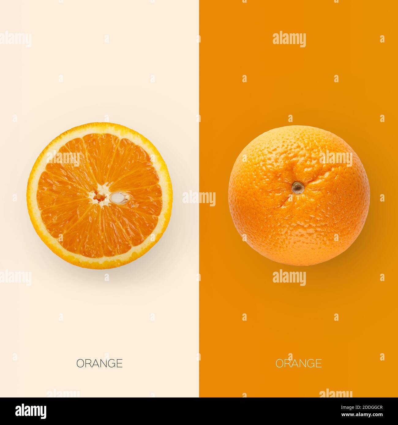 One fresh orange fruit and its half cut isolated on contrast ...