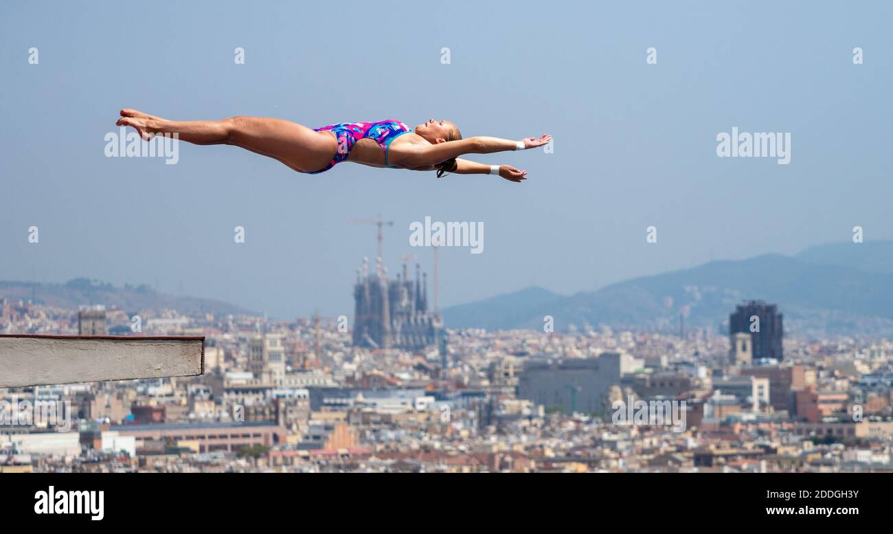Springboard, Platform Diving Stock Photo - Alamy Springboard, Platform Diving Stock Photo - Alamy