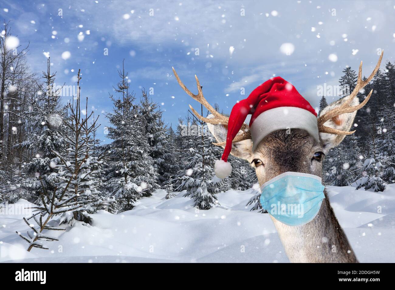 A Christmas wallpaper with snowy forest deer in a face mask isolated on ...