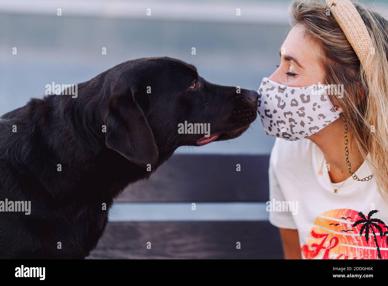 Are Labrador Dogs Protective