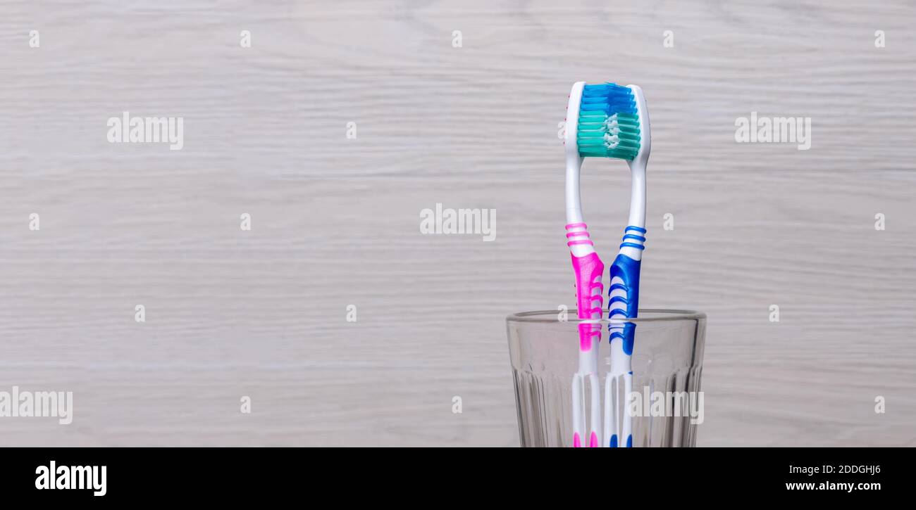 two toothbrushes kissing, relationship concept. Banner design Stock ...