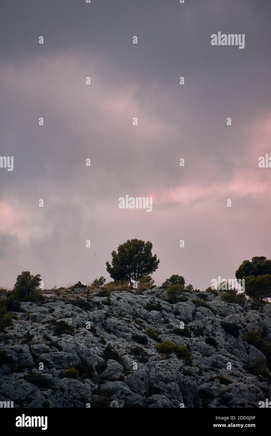 From below of amazing scenery of rough hill with trees growing under ...