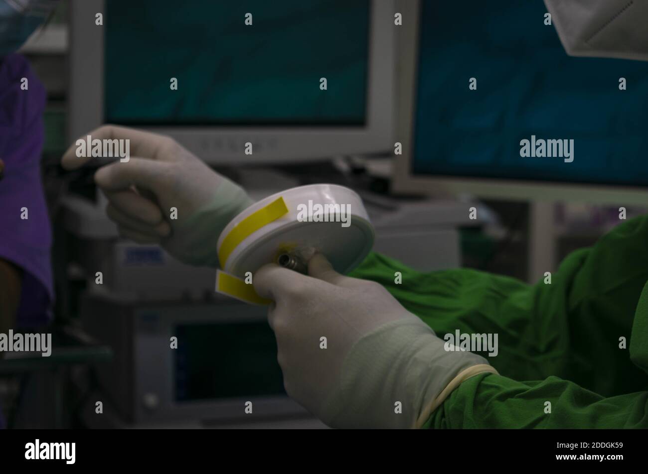A veterinarian performs surgery on a dog with medical instruments in ...