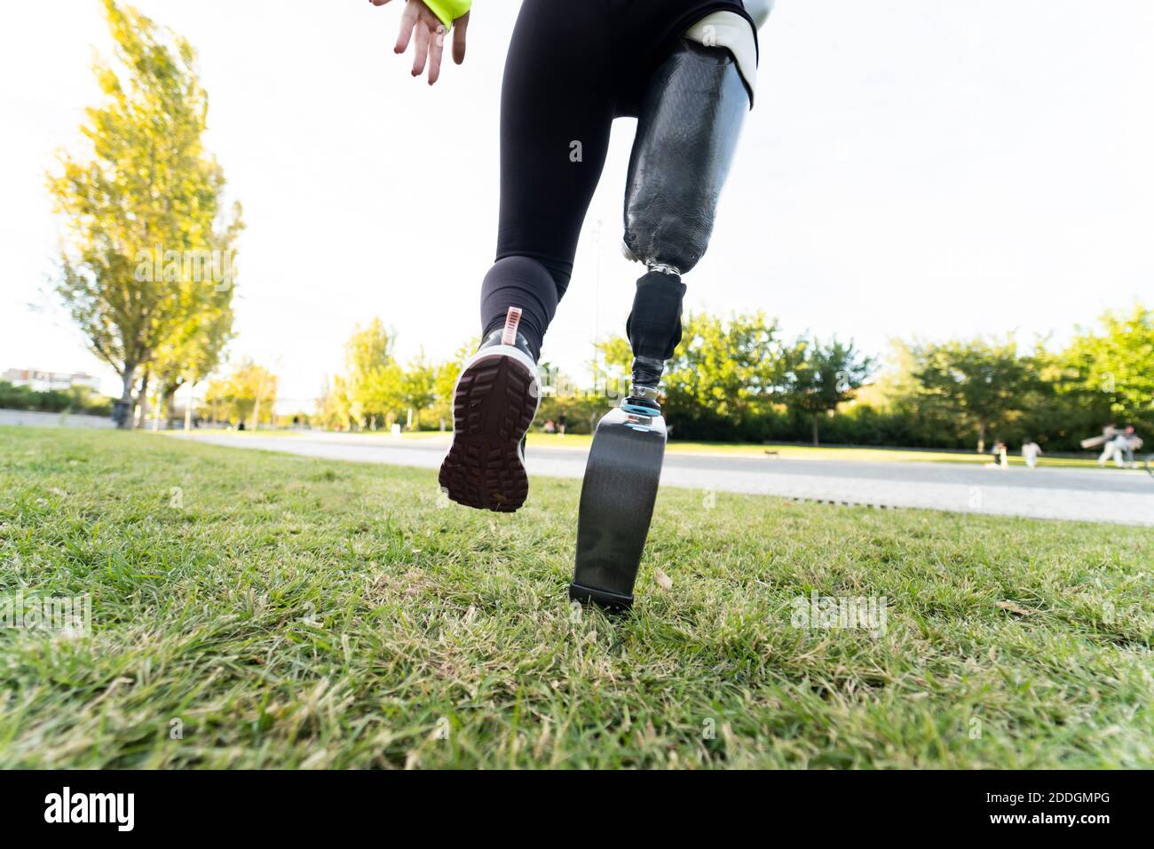 Back view of crop anonymous female runner with leg prosthesis ...
