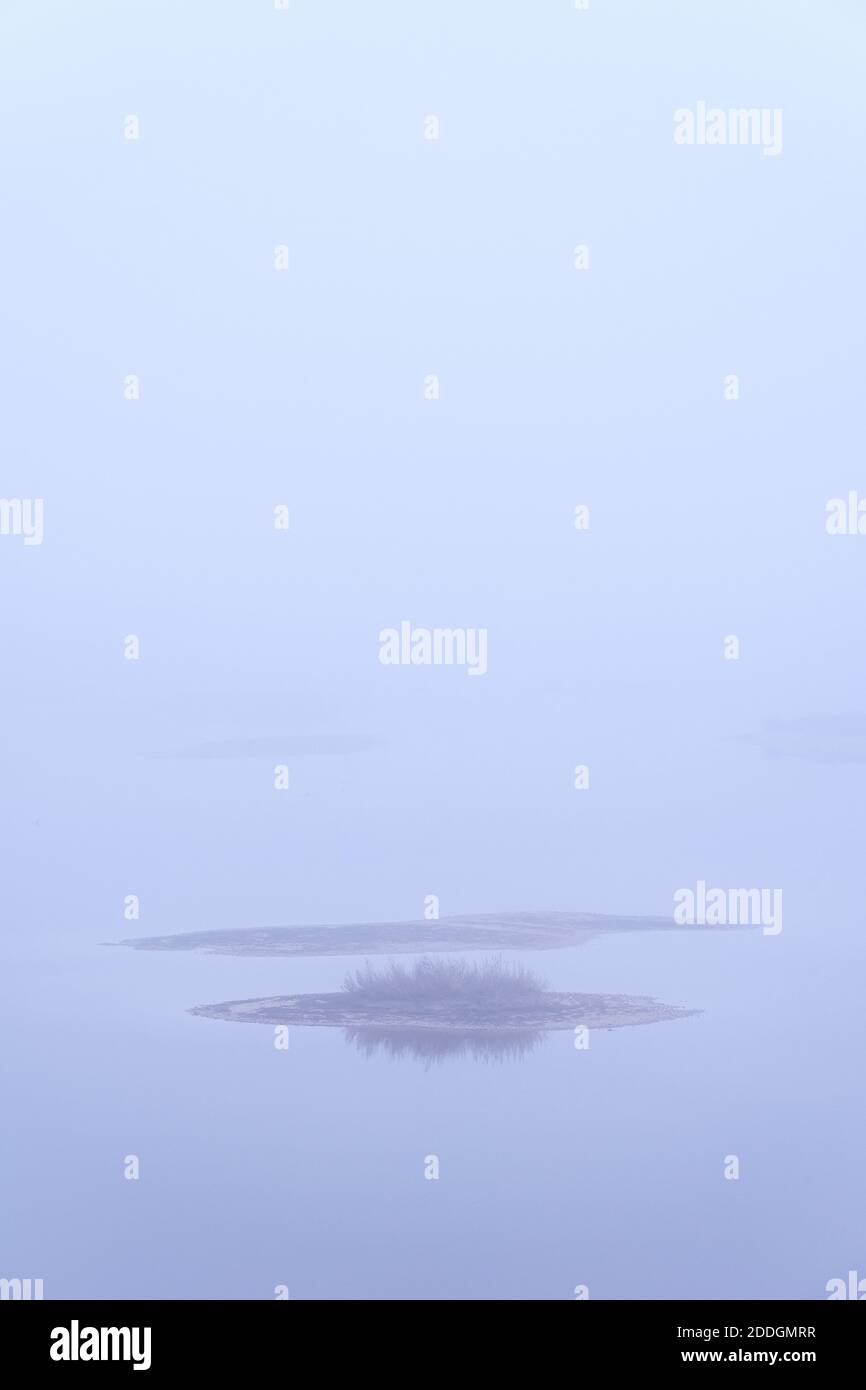 Mysterious lake landscape in a myst morning Stock Photo - Alamy