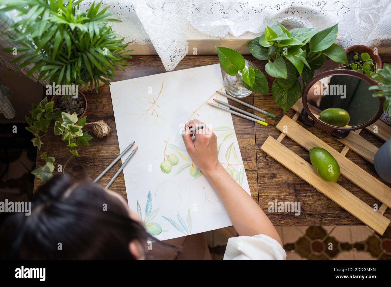 Skillful drawing hi-res stock photography and images - Alamy