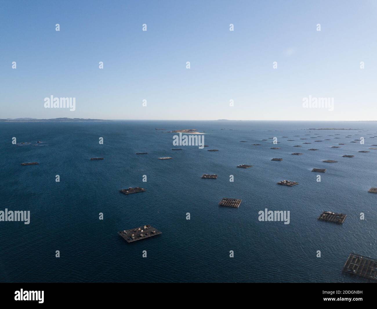 An aerial view of a calm waveless seascape with shell farms on the ...