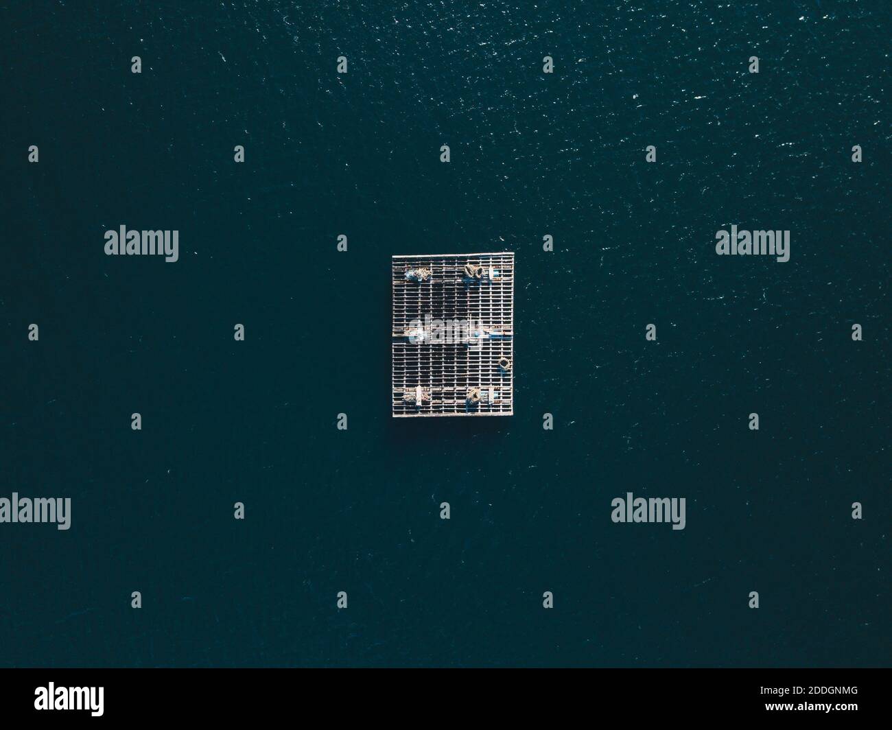 An aerial top view of shell farms on the coast of Galicia, Spain Stock ...