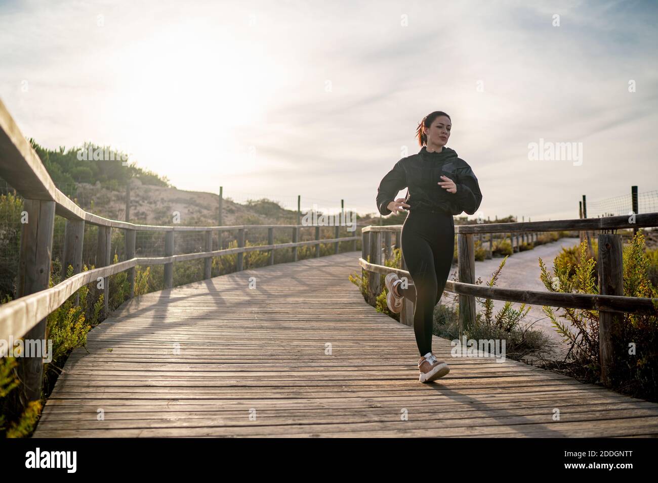 Training pathway hi-res stock photography and images - Alamy