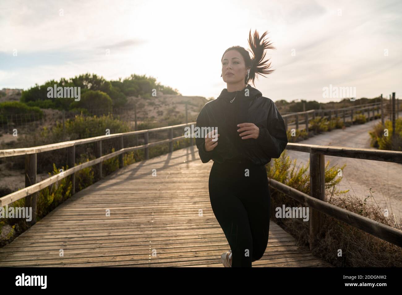 Training pathway hi-res stock photography and images - Alamy