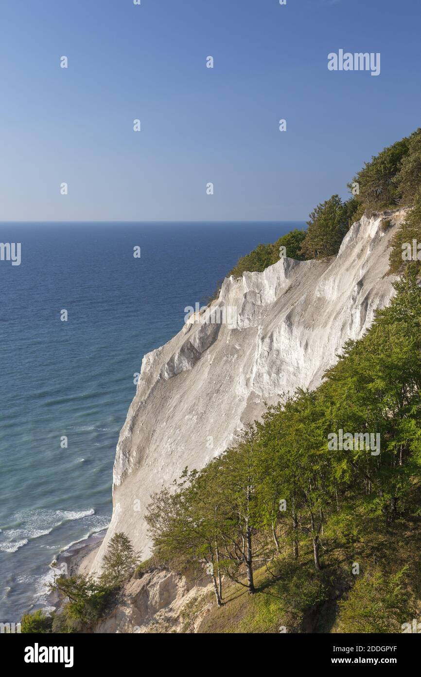 geography / travel, Denmark, Zealand, isle Mon, chalk cliff near Cliffs ...