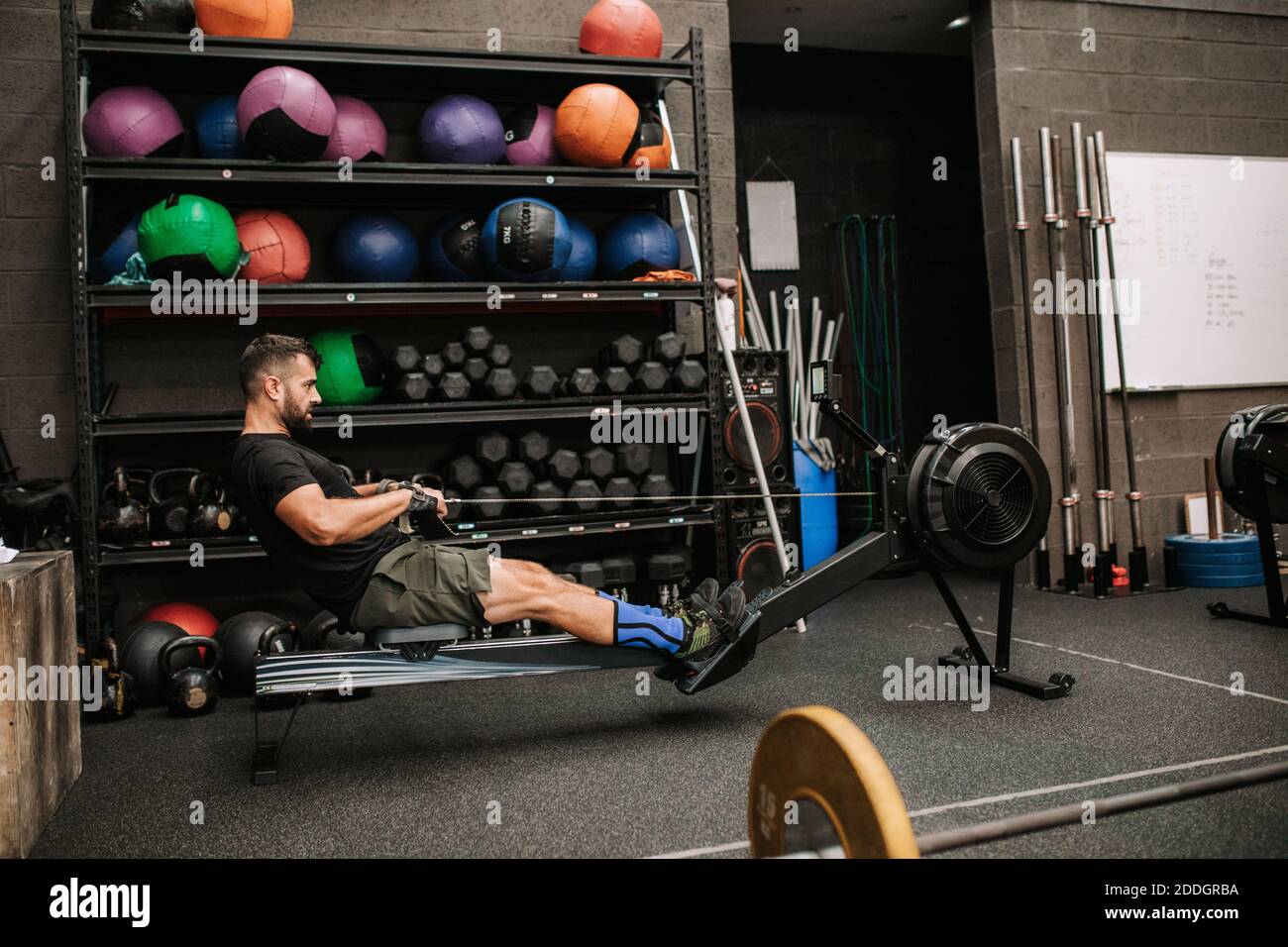 Side view of athletic male with strong body doing exercises on rowing ...