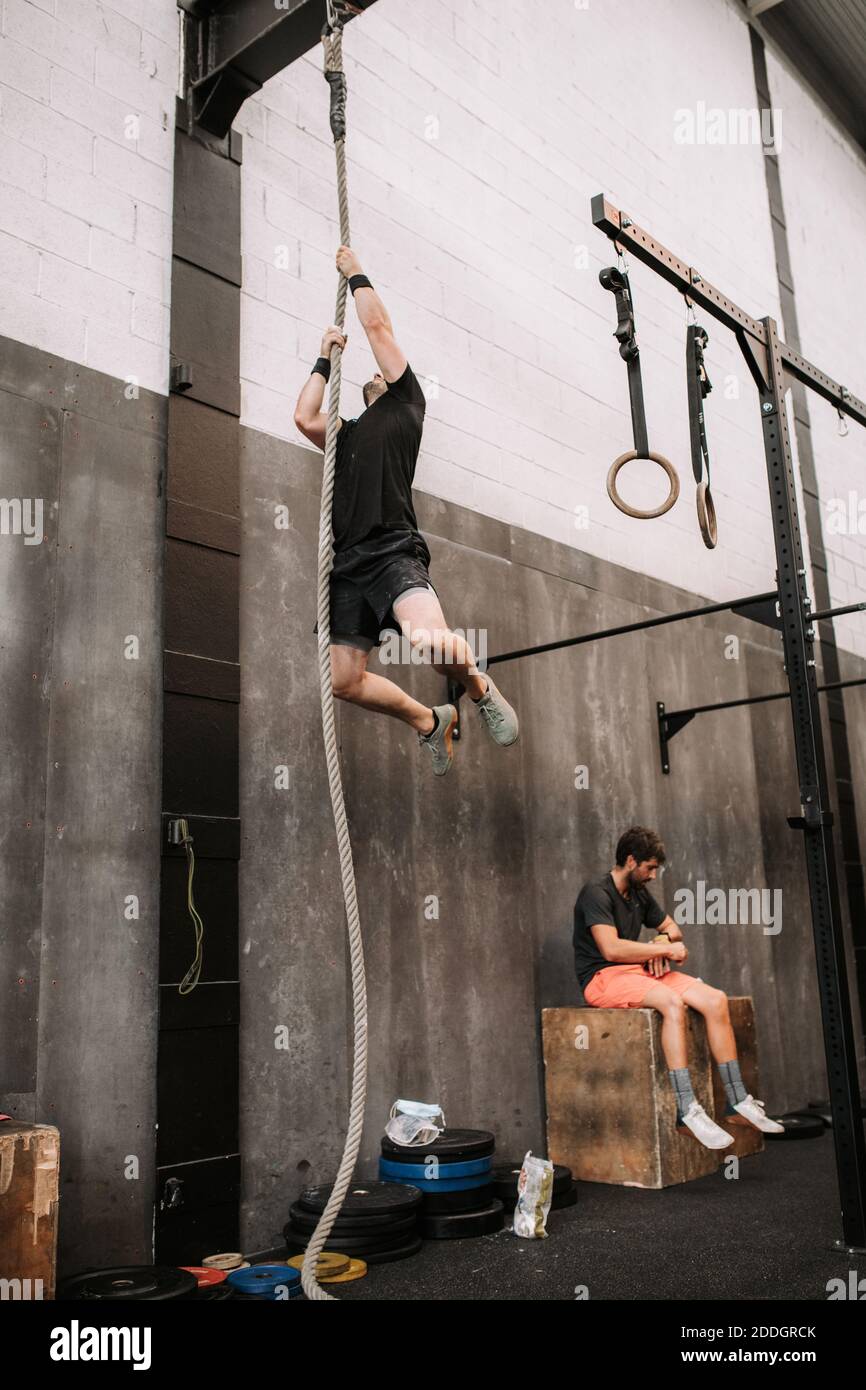 Low angle of muscular sportsman training in gym and climbing rope ...