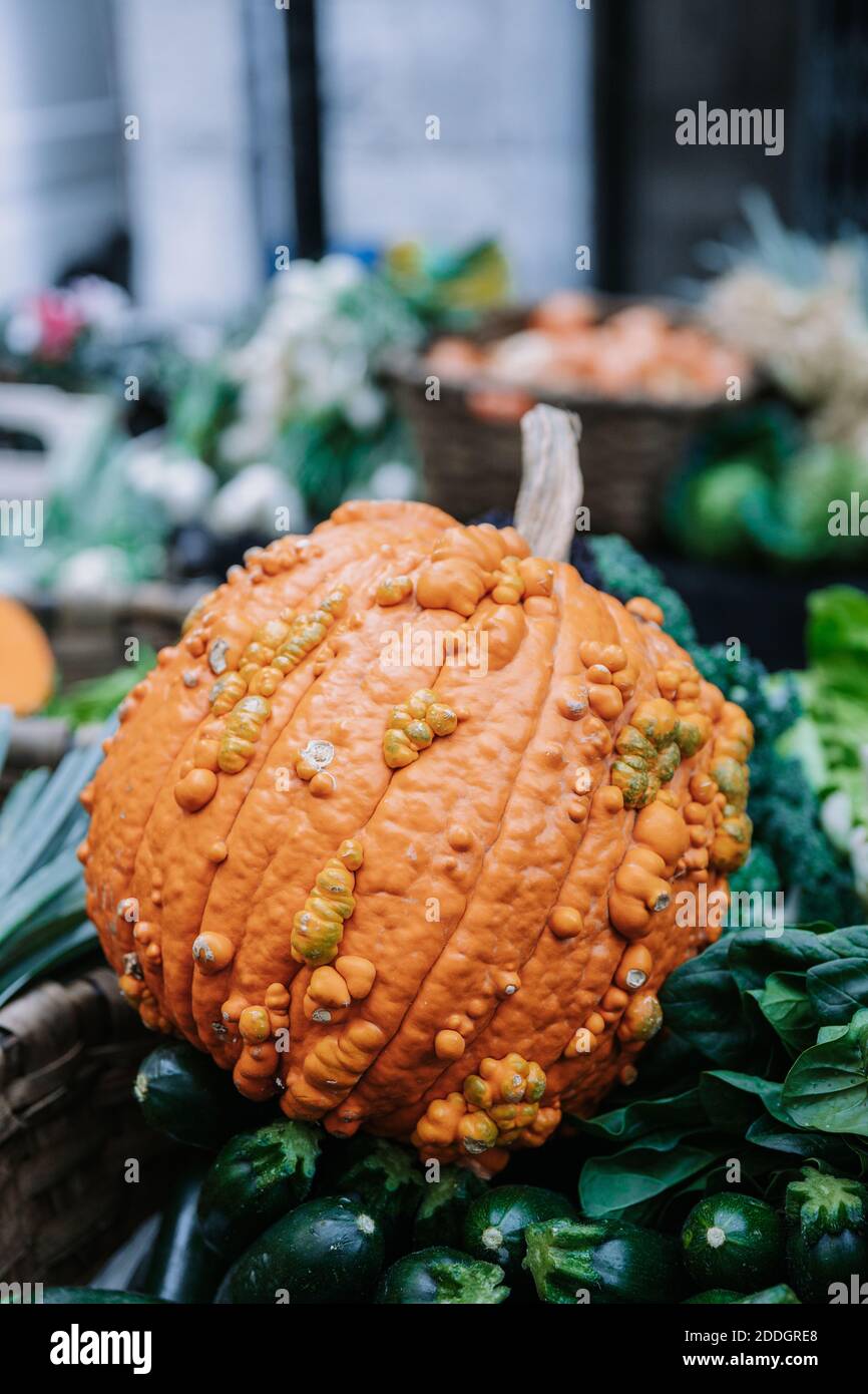Closeup of fresh orange warty bumpy pumpkin placed on heap of green ...