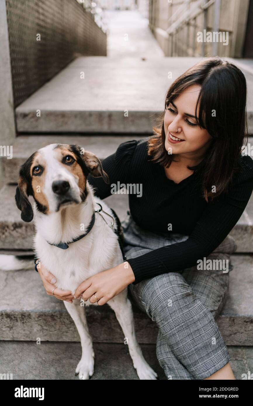Treeing walker coonhound hi-res stock photography and images - Alamy