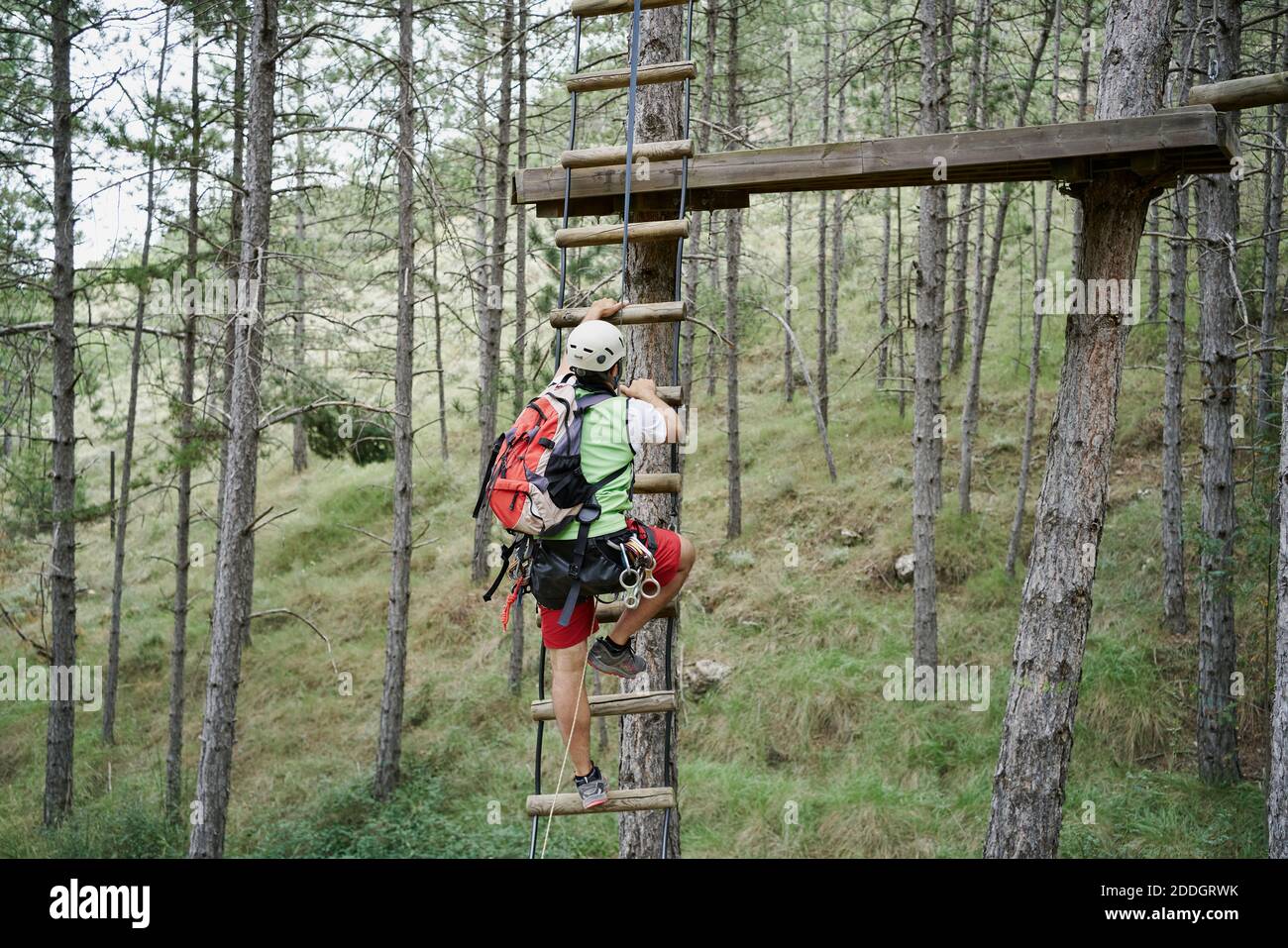 Tree trunk ladder hi-res stock photography and images - Alamy