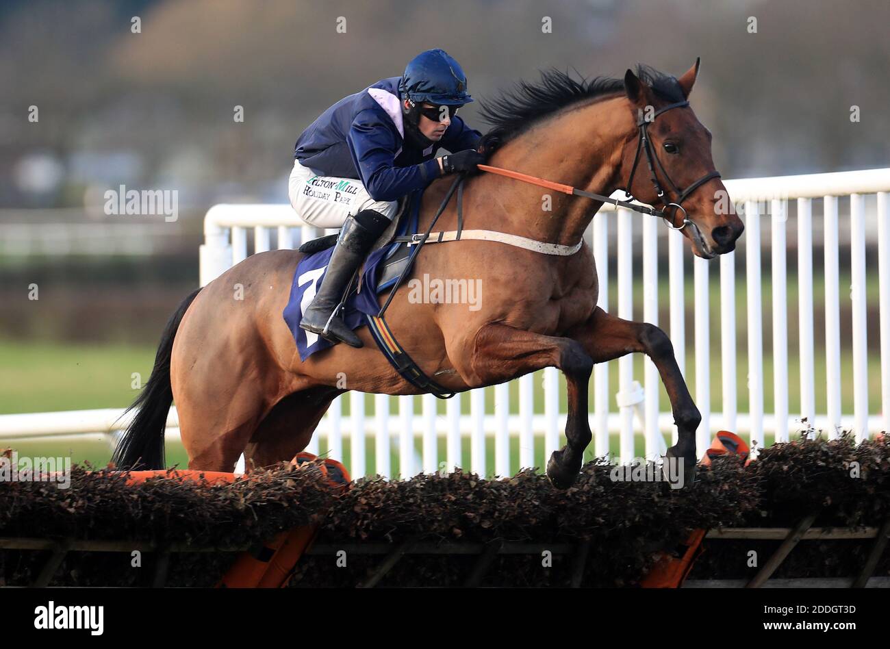 Jockey sean quinlan hi-res stock photography and images - Alamy