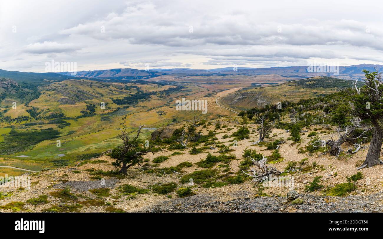 Wind stunted trees hi-res stock photography and images - Alamy
