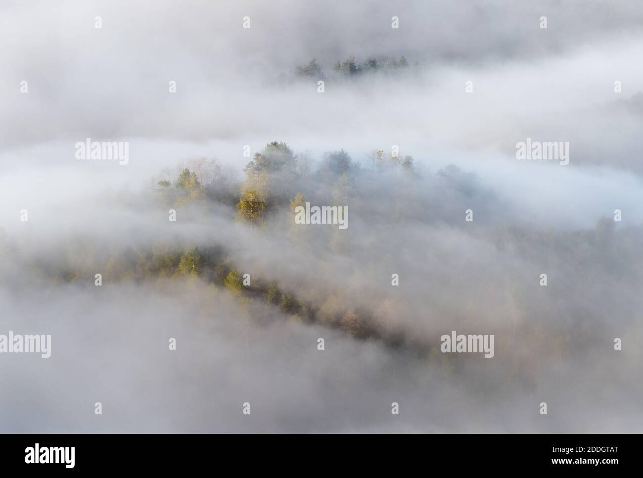 Osona hi-res stock photography and images - Alamy