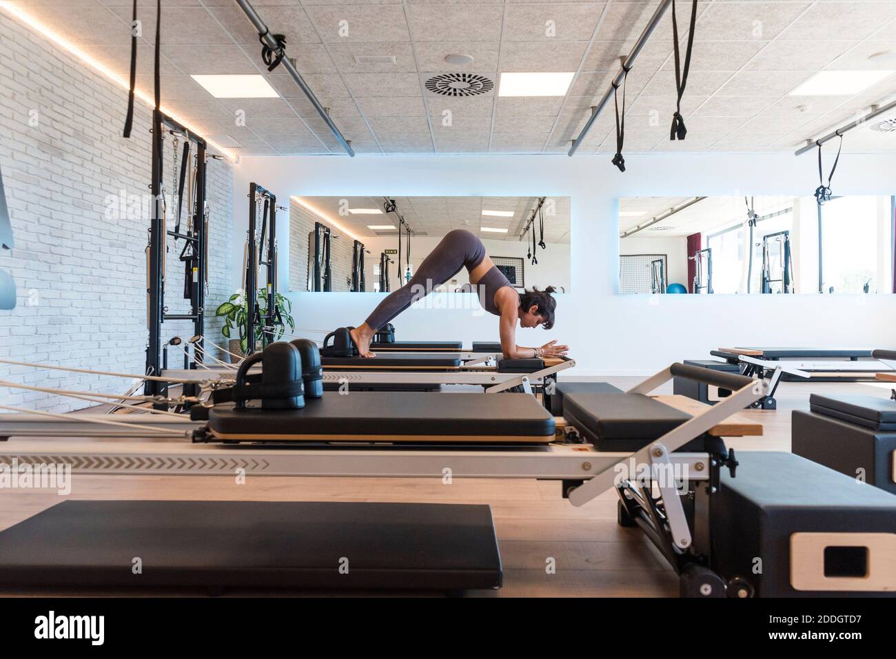 Wide angle view of slim adult female stretching body on modern reformer ...