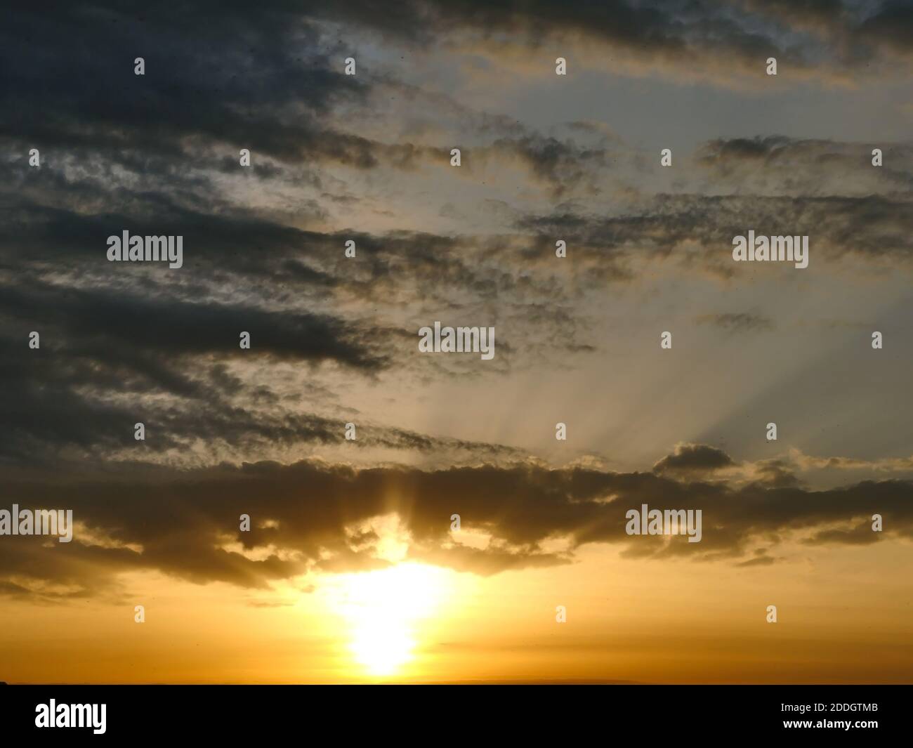 beautiful golden sunset sky landscape, natural background Stock Photo ...