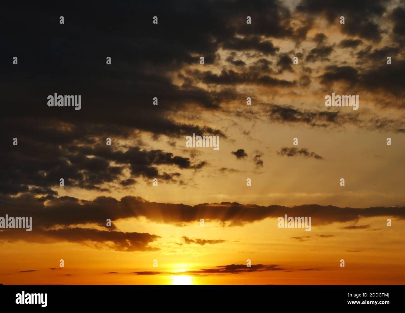 beautiful golden sunset sky landscape, natural background Stock Photo ...
