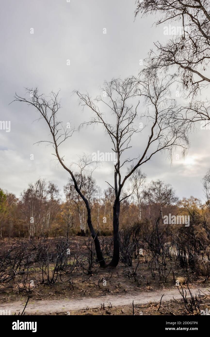 Burns Basin High Resolution Stock Photography and Images - Alamy