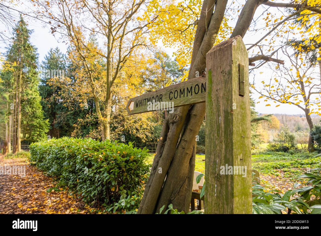 A traditional wooden fingerpost pointing to Whitmoor Common by St Mary ...