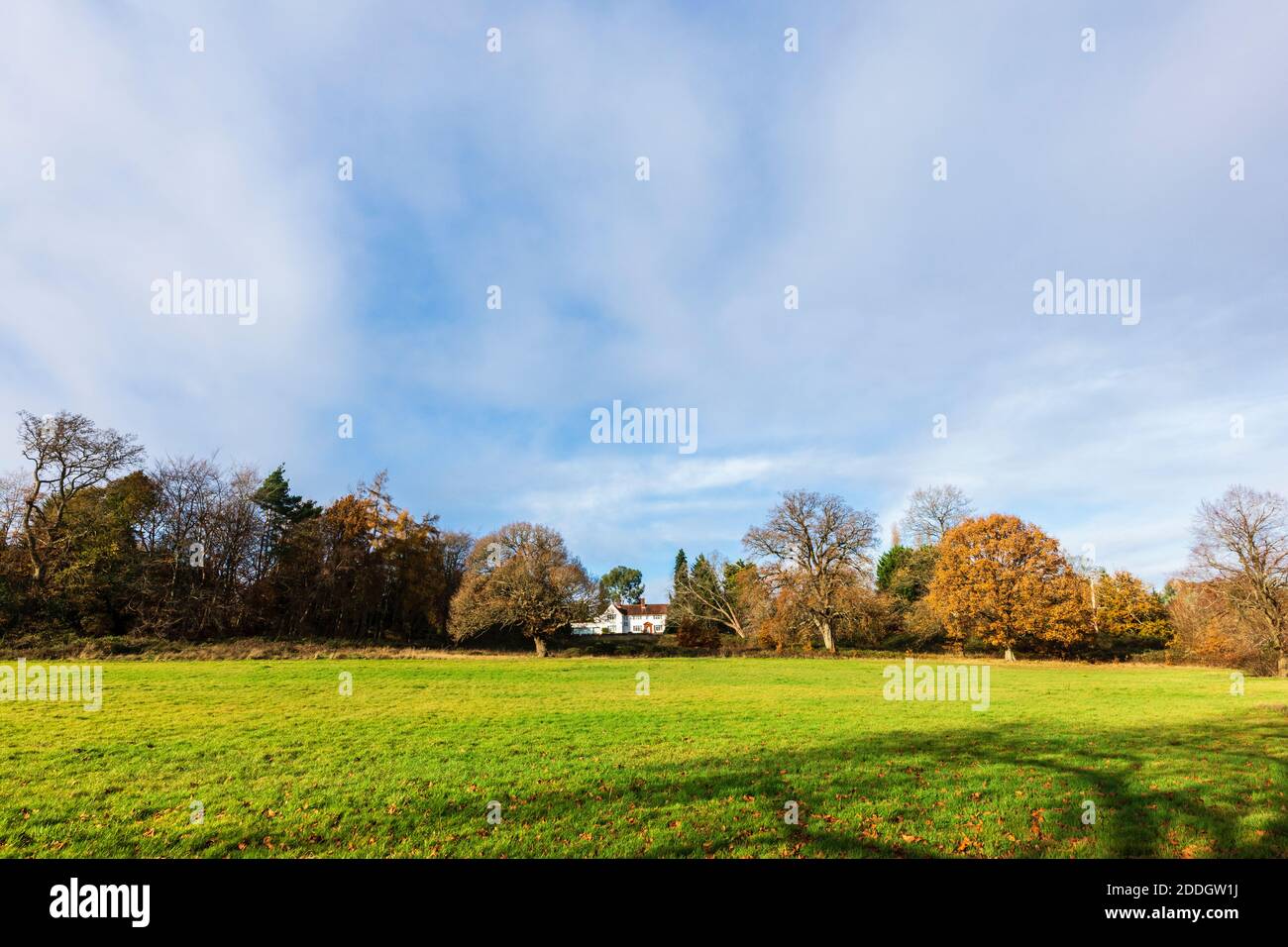 A large white house with views overlooking woodland and fields on ...