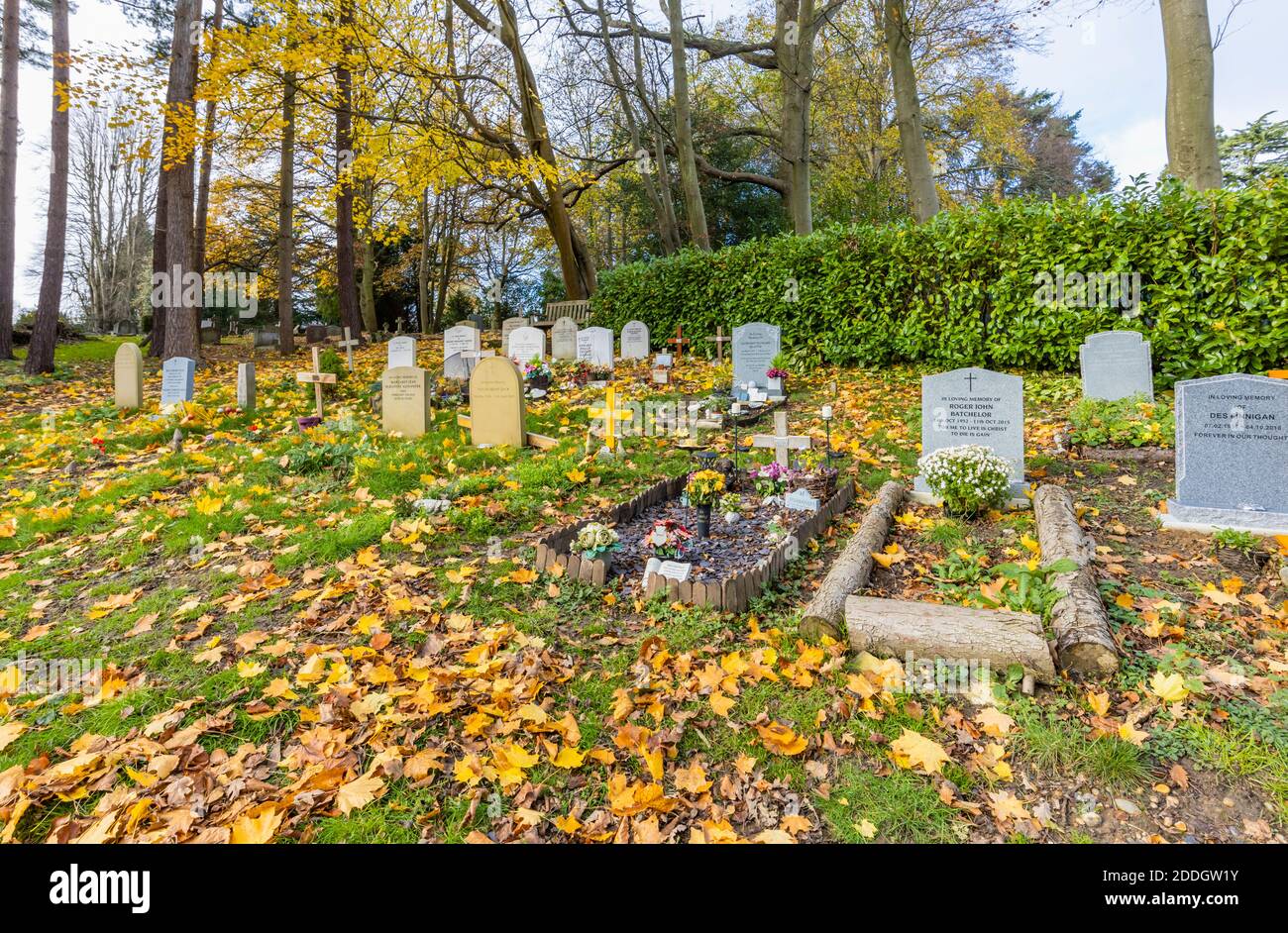 Graves in the churchyard of St Mary's, a country church on Whitmoor ...