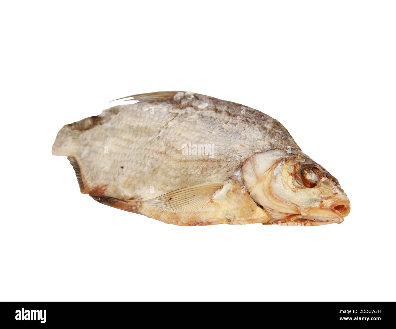 A dried fish isolated on a white background Stock Photo - Alamy