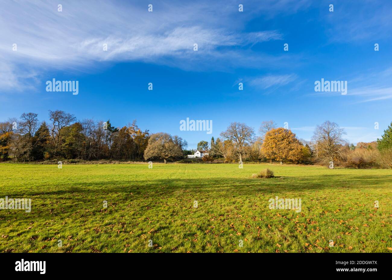 A large white house with views overlooking woodland and fields on ...