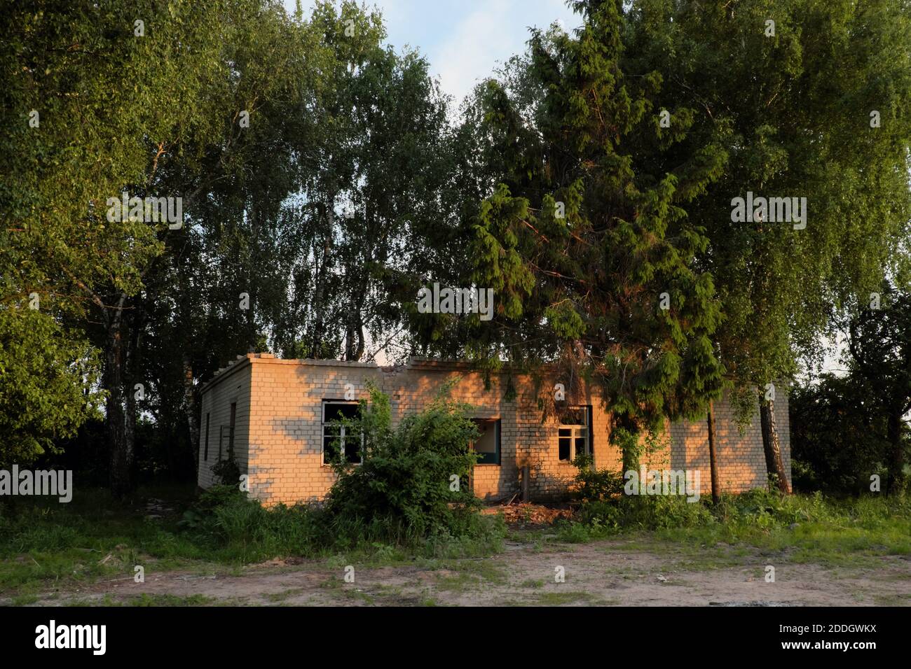 Old destroyed buildings among trees and green grasses. Abandoned ...