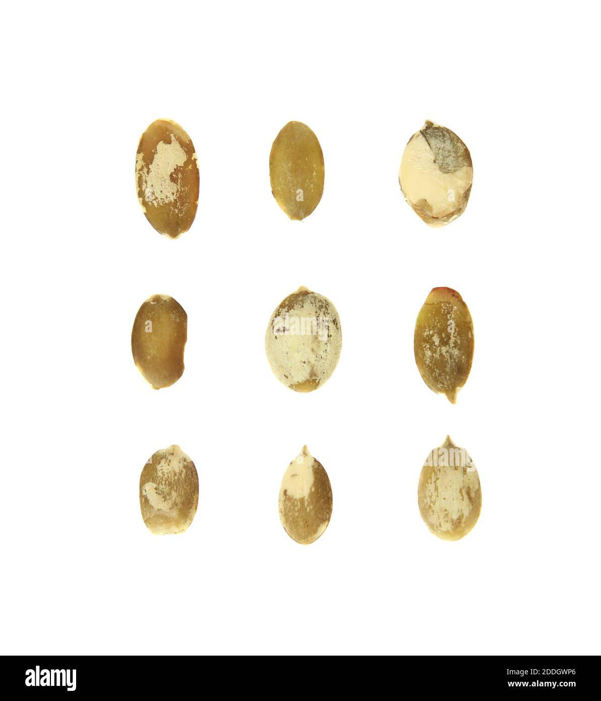 A heap of seeds isolated on a white background Stock Photo - Alamy