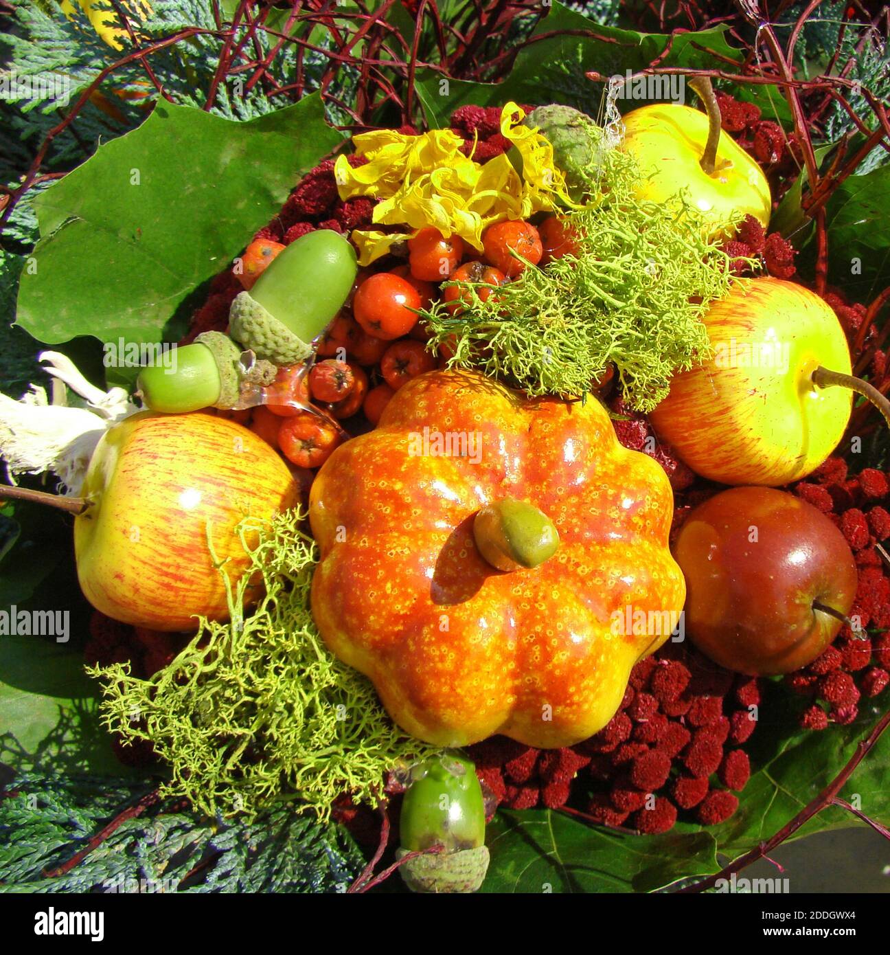 Fruits and vegatables hi-res stock photography and images - Alamy