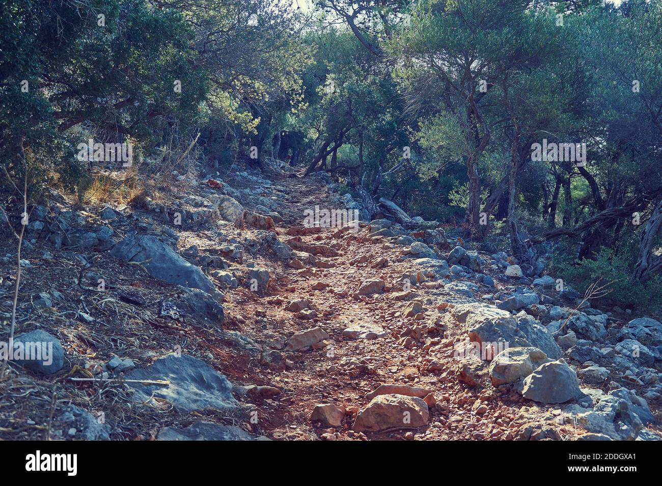 Lycian Way, Walking in Lycian Way. Lycian Way trail. Hiking in nature ...