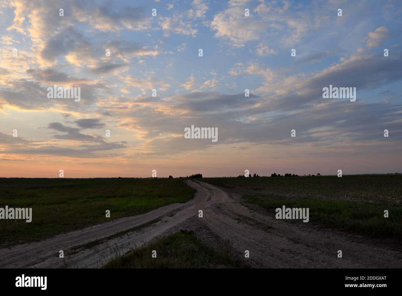 Fork of two country roads in the evening in the field. Evening ...