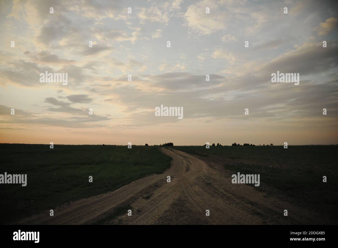 Fork of two country roads in the evening in the field. Evening ...