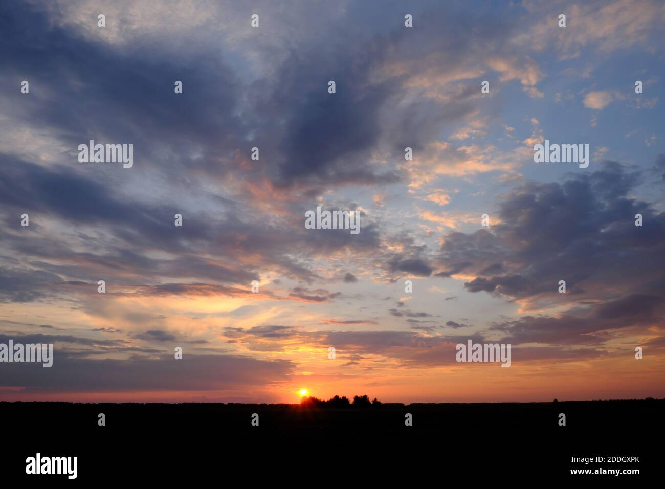The sun sets over the horizon. Silhouettes of trees on sunset sky ...