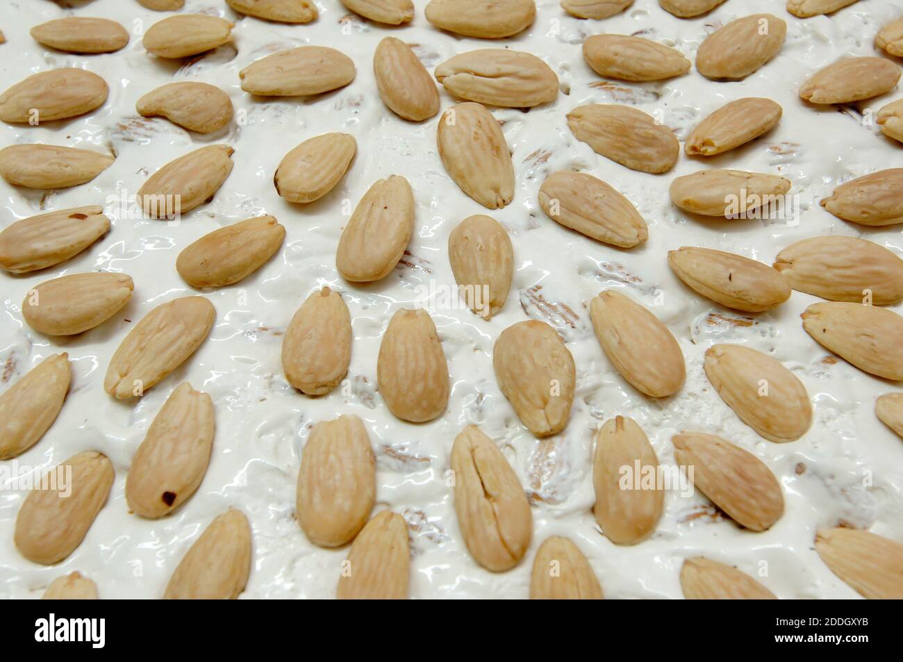 artisanal soft nougat factory of Tonara in the Sardinia region of Italy ...
