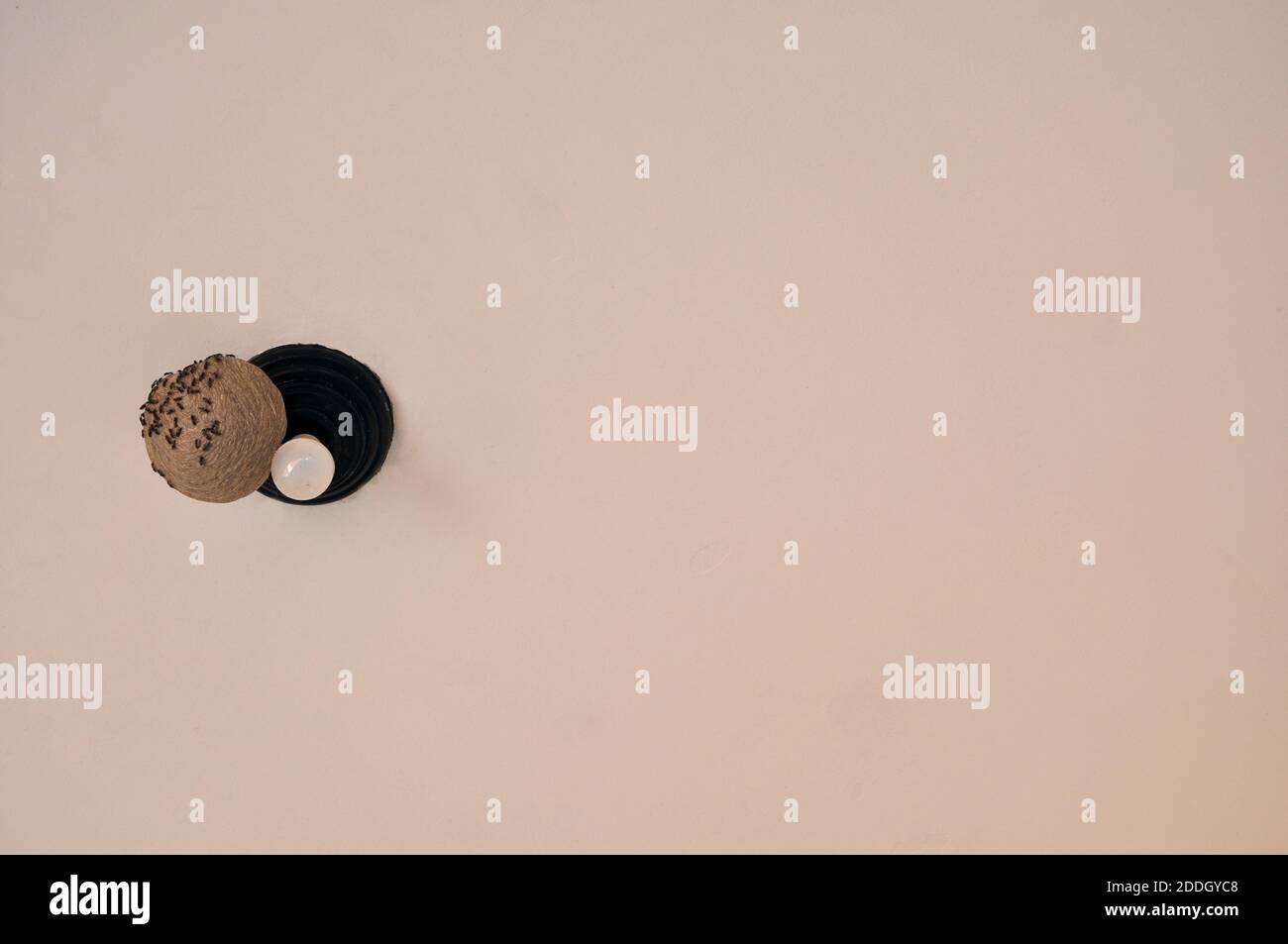 Zoom in bee hive hi-res stock photography and images - Alamy