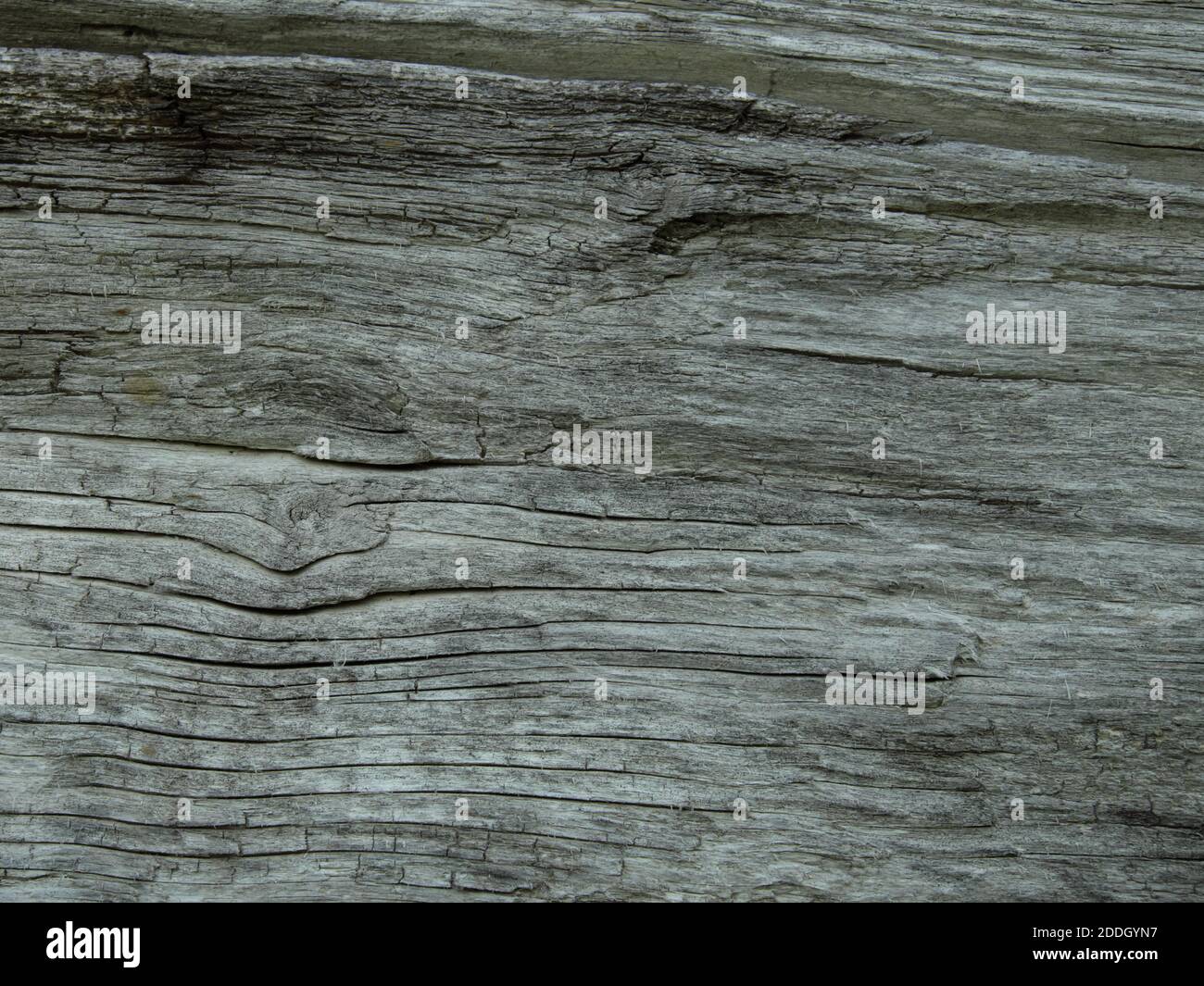 Rough board hi-res stock photography and images - Alamy