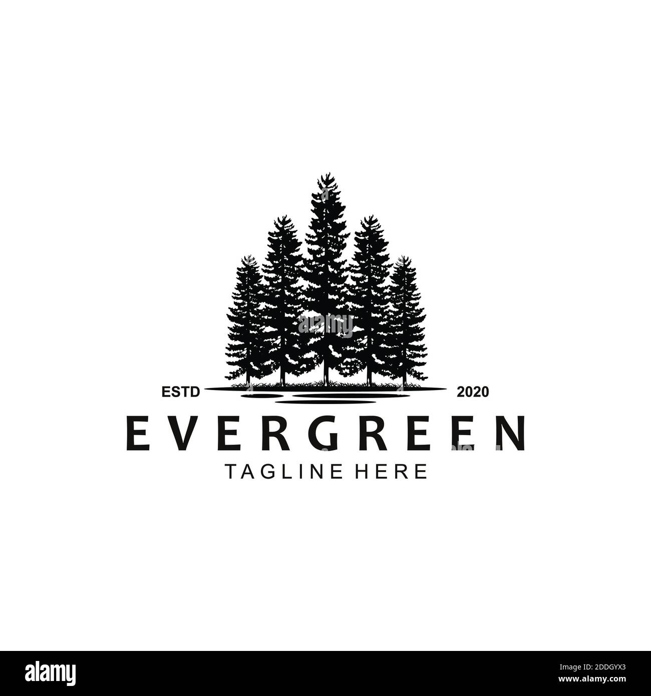Evergreen logo design inspiration Stock Photo - Alamy