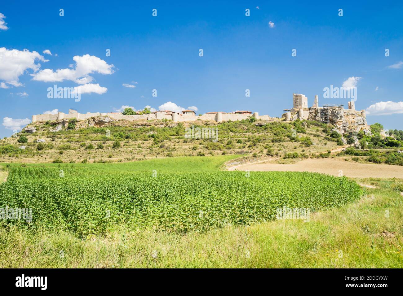 The famous Lobos river Canyon in Soria, Spain Stock Photo - Alamy