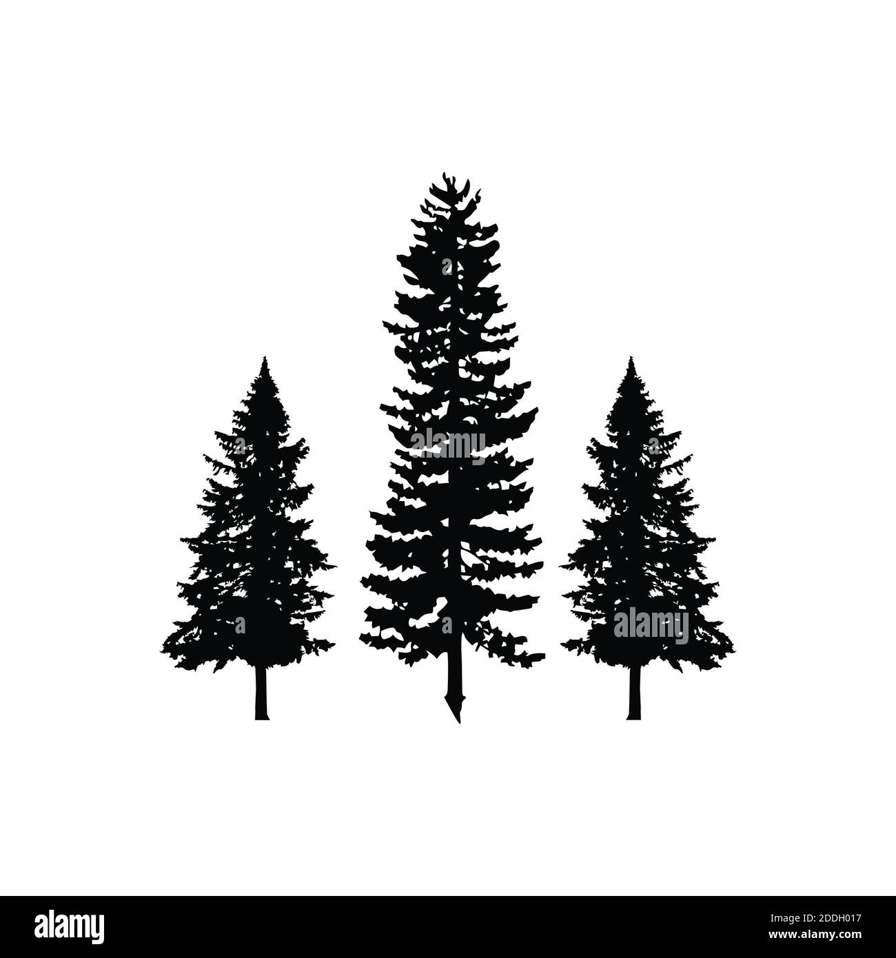 Pine Trees Silhouette
