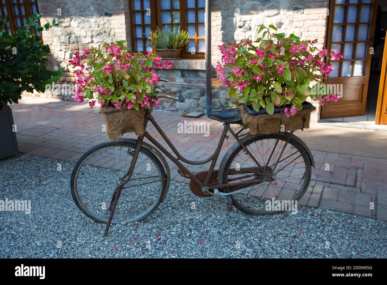 Bike flower pots hi-res stock photography and images - Alamy