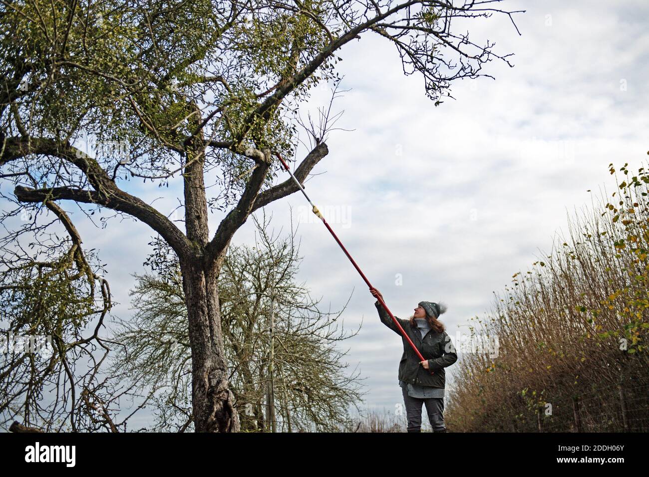 Sarah starkey hi-res stock photography and images - Alamy