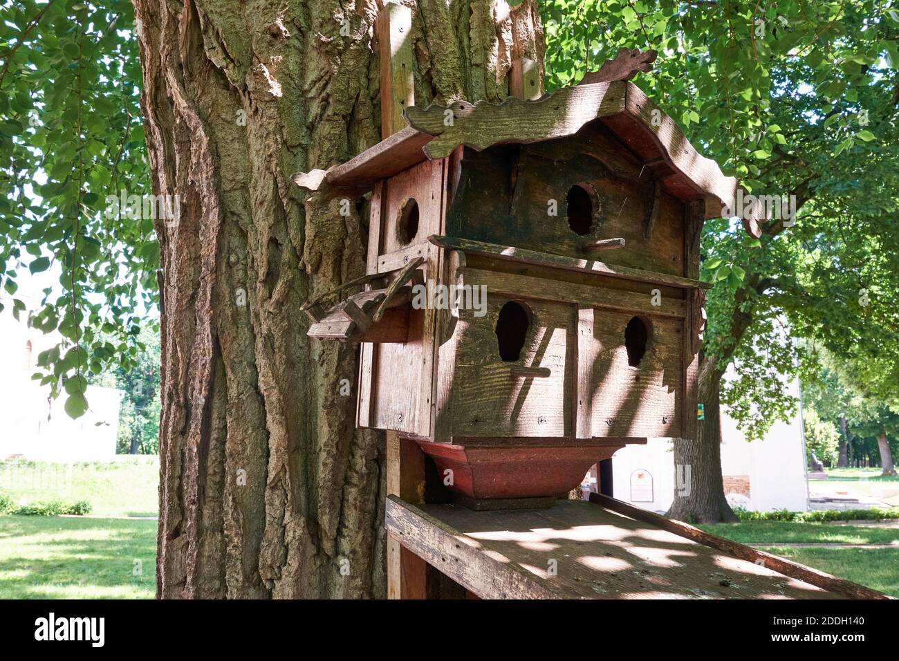 Birdhouse tree hi-res stock photography and images - Alamy